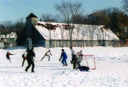 Hockey History - The Birthplace of Hockey